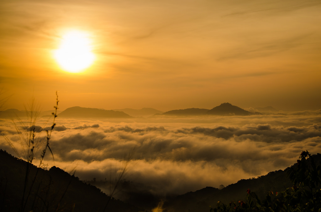 170414 Sunrise Bloggeries Blog Relaunch Bloggeries Blog